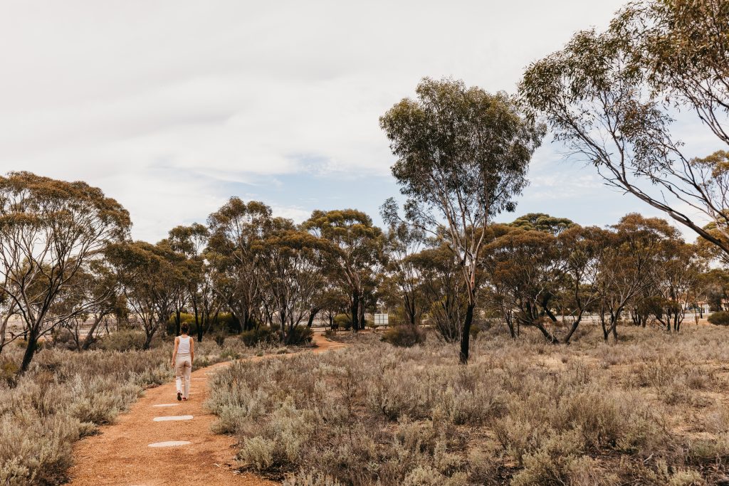 Lake Grace | Central Wheatbelt Visitor Centre