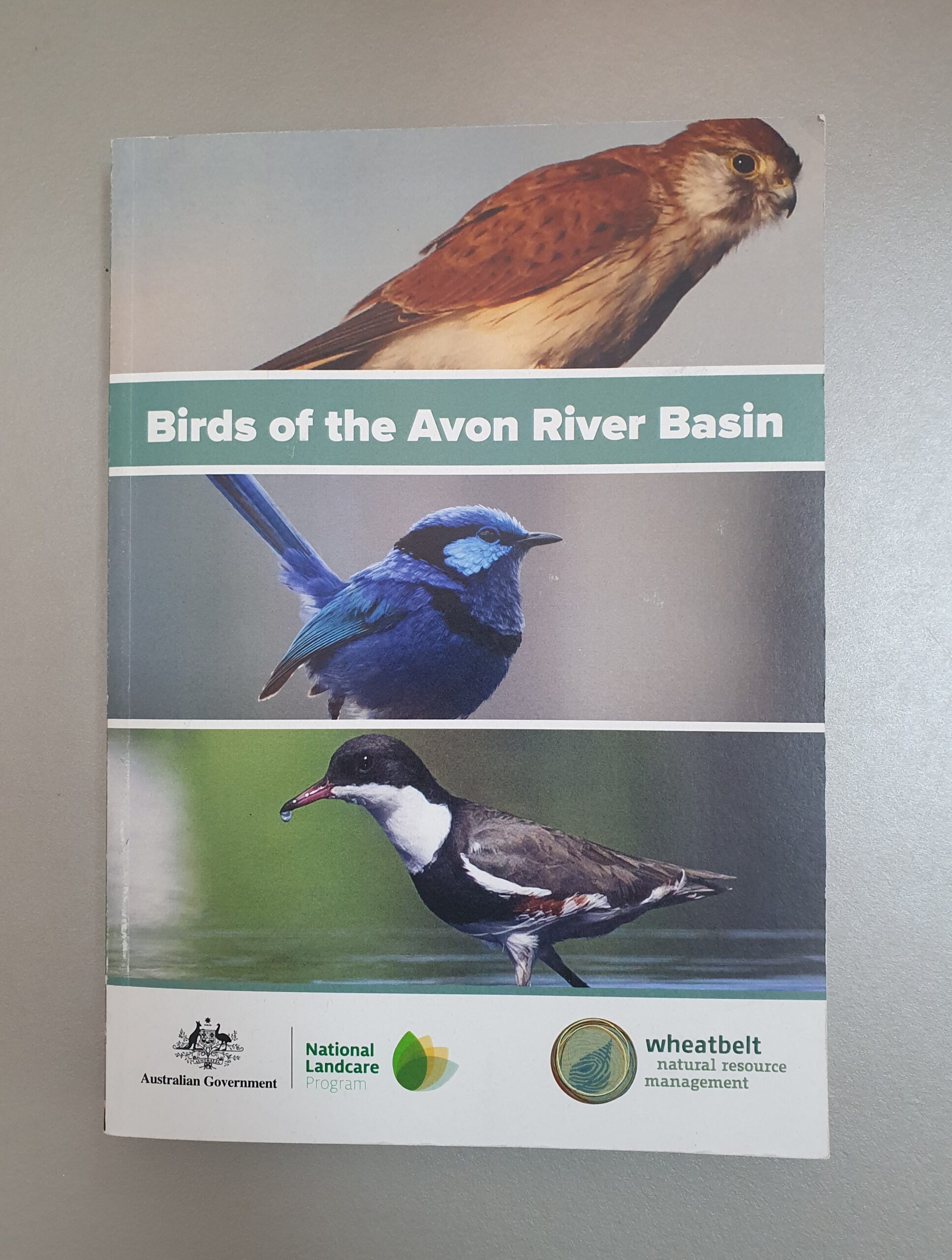 Birds of the Avon River Basin | Central Wheatbelt Visitor Centre
