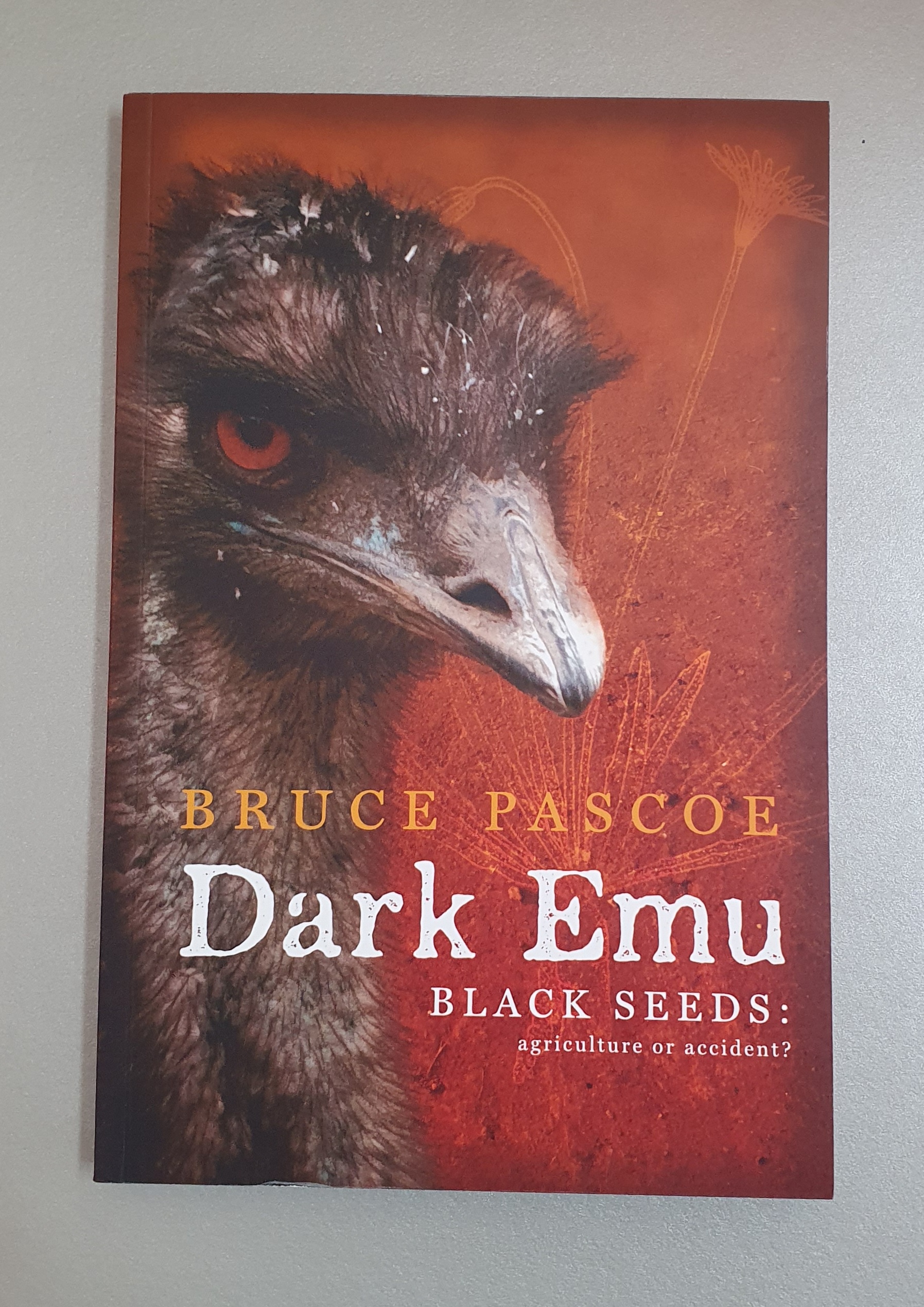 Dark Emu Black Seeds: agriculture or accident? | Central Wheatbelt ...