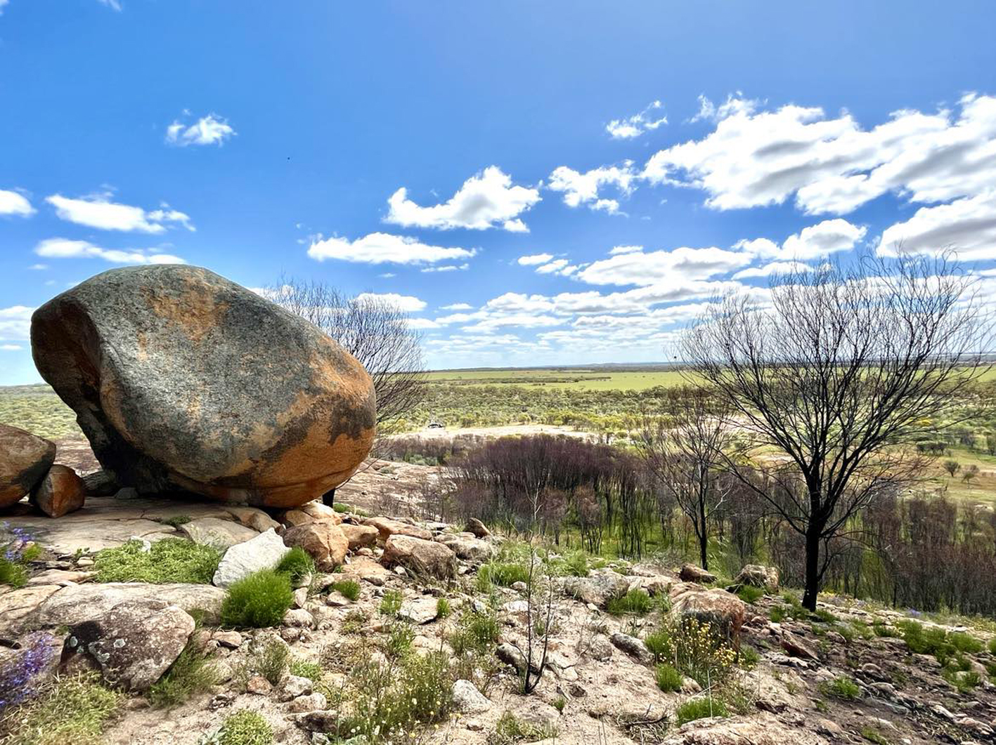 Talgomine – Mt Moore | Central Wheatbelt Visitor Centre